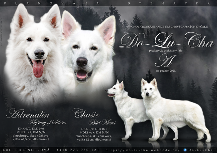 Vrh "A", krytí Chasie a Andrenalina :: Do-Lu-Cha