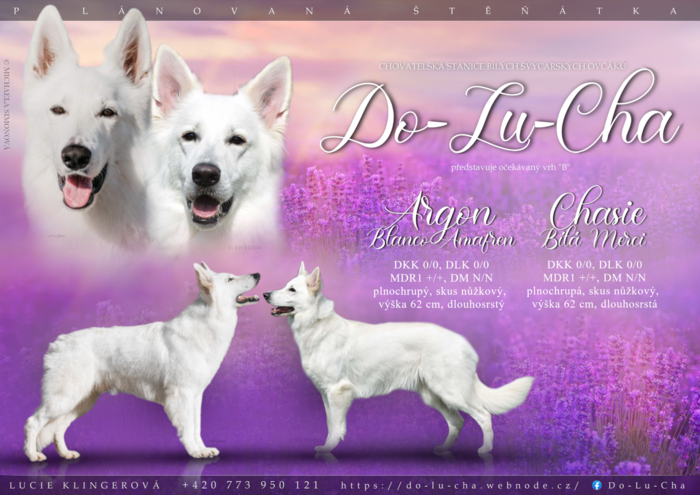 Vrh "B", krytí Chasie a Argona :: Do-Lu-Cha